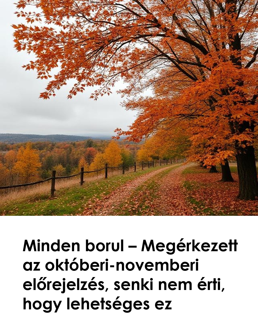 Minden borul – Megérkezett az októberi-novemberi előrejelzés, senki nem ...